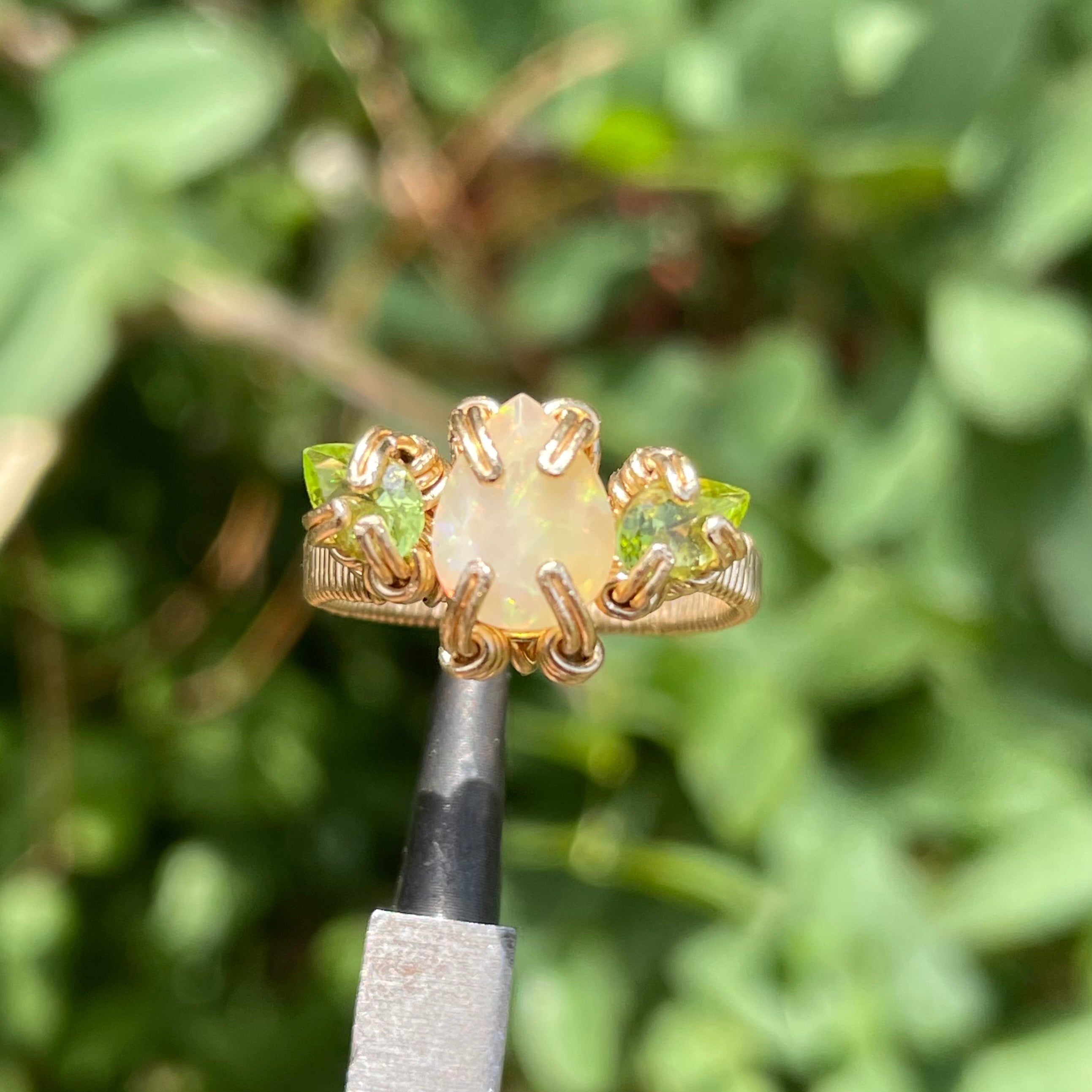 The Eternal Orna Arcus Ring – HardlyMentionable